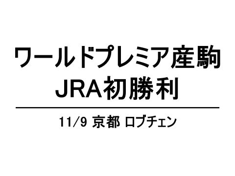 ワールドプレミア産駒JRA初勝利！11月9日京都5Rでノーザンファーム生産ロブチェンが優勝 - 種牡馬・せり - Baji News ...