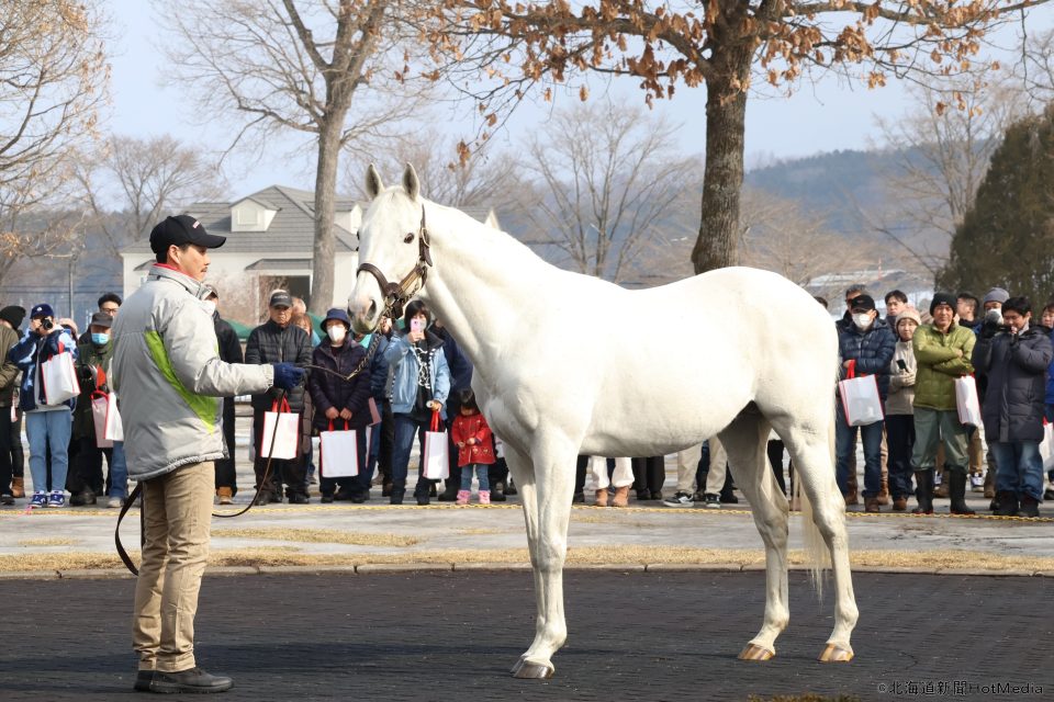 イーストスタッド2026年種付け料発表 ダノンレジェンドは25年と同額の250万円 - 種牡馬・せり - Baji News powered ...
